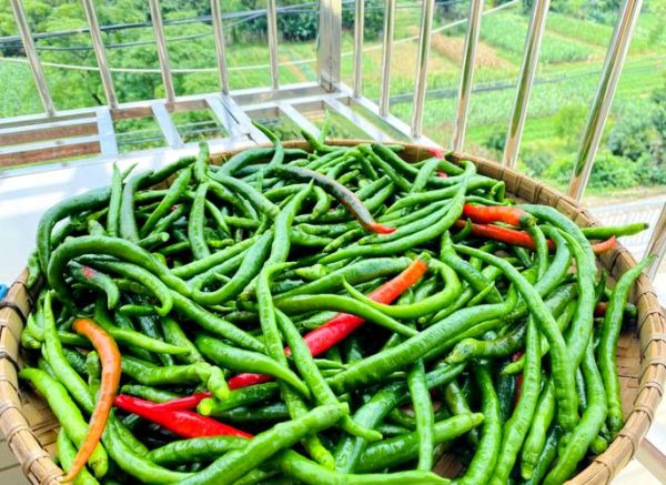 怎样腌制咸辣椒_咸辣椒腌制多久可以吃-第3张图片-山城妙识