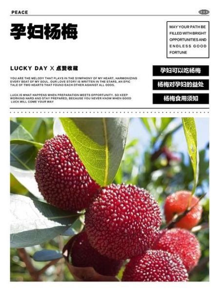 孕妇能吃杨梅吗_孕妇吃杨梅的好处与禁忌-第3张图片-山城妙识