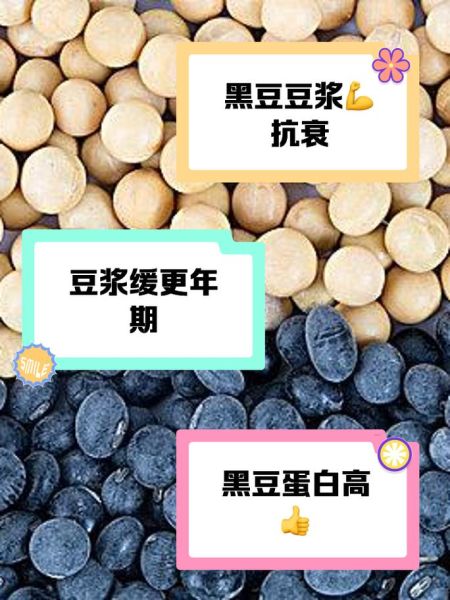 大豆是什么豆_大豆和黄豆的区别-第1张图片-山城妙识