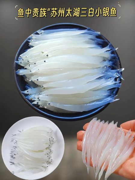 大银鱼怎么做好吃_大银鱼的营养价值-第3张图片-山城妙识