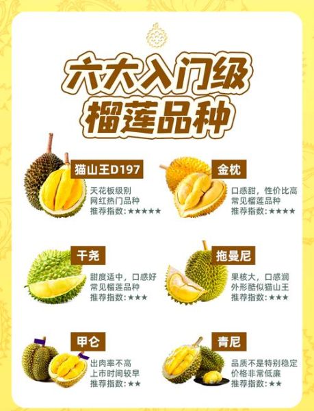 榴莲品种排名前十_哪个最好吃-第1张图片-山城妙识 榴莲品种排名前十_哪个最好吃-第1张图片-山城妙识