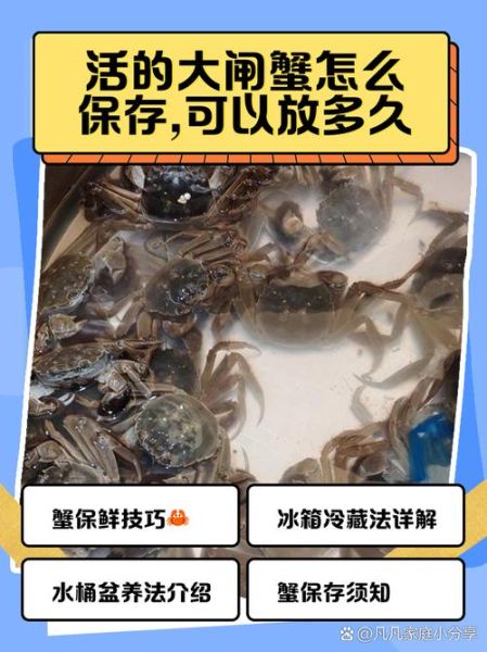 大闸蟹怎么保存才不会死_活蟹存放多久-第3张图片-山城妙识 大闸蟹怎么保存才不会死_活蟹存放多久-第3张图片-山城妙识