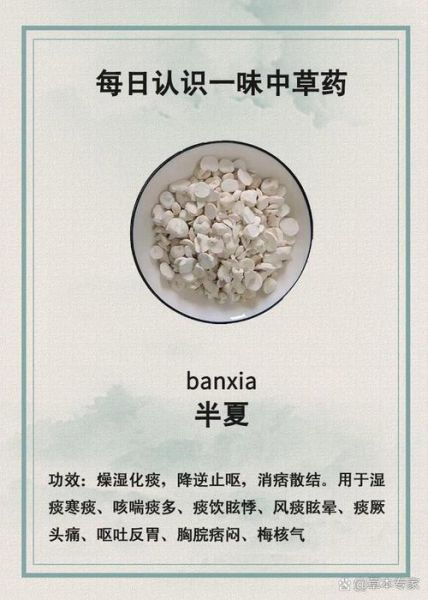 半夏的功效与作用_半夏有毒吗-第1张图片-山城妙识