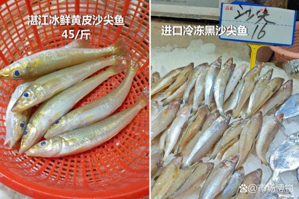 沙尖鱼多少钱一斤_沙尖鱼价格为什么波动大-第1张图片-山城妙识 沙尖鱼多少钱一斤_沙尖鱼价格为什么波动大-第1张图片-山城妙识