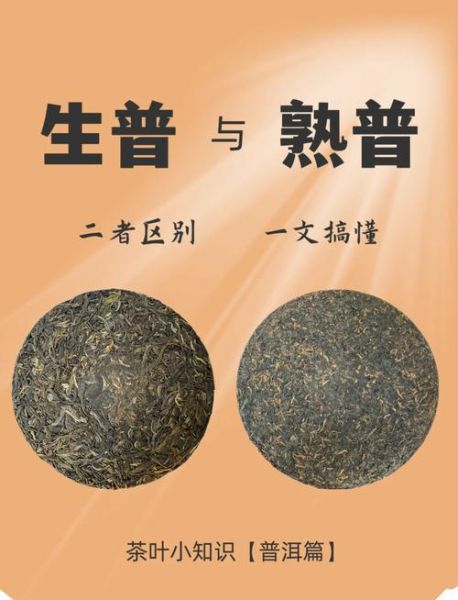 普洱茶品种大全一览表_生茶熟茶区别-第1张图片-山城妙识