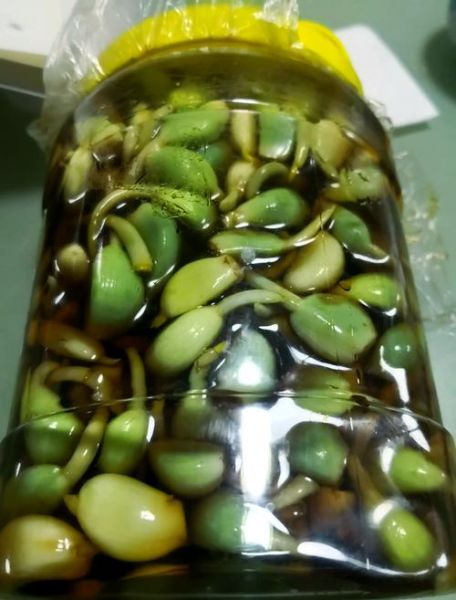 绿蒜怎么腌制_绿蒜腌制方法-第3张图片-山城妙识 绿蒜怎么腌制_绿蒜腌制方法-第3张图片-山城妙识
