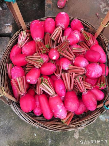 红皮萝卜怎么做好吃_红皮萝卜的家常做法-第2张图片-山城妙识