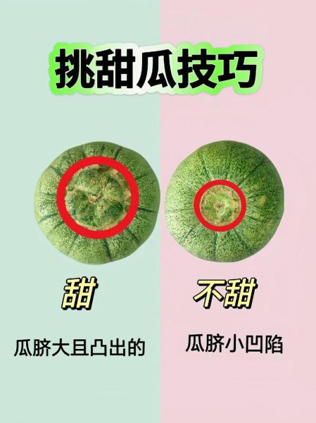 香瓜怎么挑选_香瓜什么时候成熟-第1张图片-山城妙识 香瓜怎么挑选_香瓜什么时候成熟-第1张图片-山城妙识