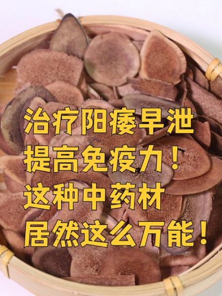 补肾壮阳的中药有几种_常见药材有哪些-第1张图片-山城妙识 补肾壮阳的中药有几种_常见药材有哪些-第1张图片-山城妙识