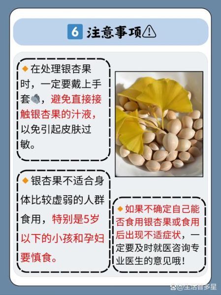 白果中毒怎么办_白果中毒如何解除-第1张图片-山城妙识