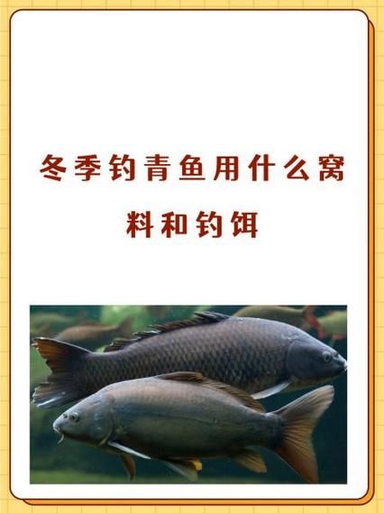 青鱼图适合挂哪里_青鱼图风水禁忌有哪些-第3张图片-山城妙识