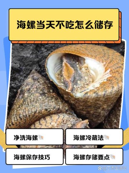 海螺不能吃的部位有哪些_海螺内脏图解-第3张图片-山城妙识 海螺不能吃的部位有哪些_海螺内脏图解-第3张图片-山城妙识