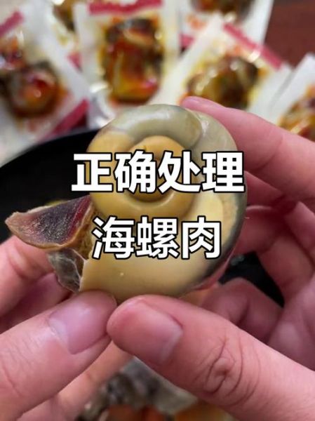 海螺不能吃的部位有哪些_海螺内脏图解-第2张图片-山城妙识 海螺不能吃的部位有哪些_海螺内脏图解-第2张图片-山城妙识