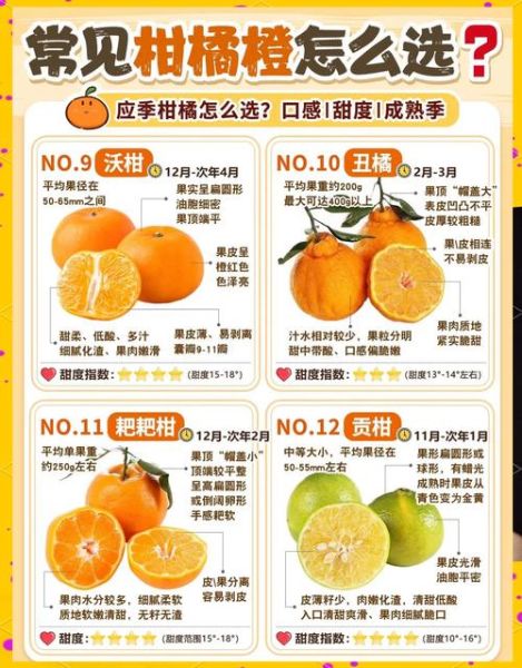 最好吃的柑橘品种有哪些_如何挑选最甜柑橘-第2张图片-山城妙识 最好吃的柑橘品种有哪些_如何挑选最甜柑橘-第2张图片-山城妙识