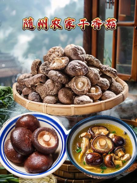 香菇图片大全大图_如何挑选优质香菇-第3张图片-山城妙识 香菇图片大全大图_如何挑选优质香菇-第3张图片-山城妙识