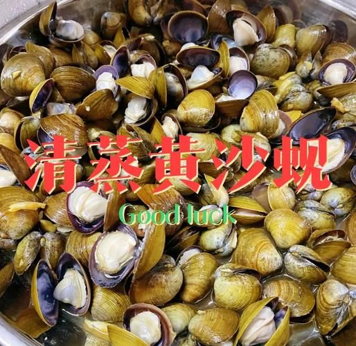 黄蚬子怎么吐沙子_黄蚬子吐沙子最快的方法-第1张图片-山城妙识 黄蚬子怎么吐沙子_黄蚬子吐沙子最快的方法-第1张图片-山城妙识