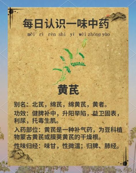 黄芪的功效与作用有哪些_黄芪的副作用是什么-第3张图片-山城妙识