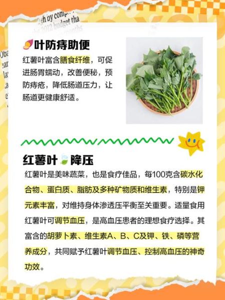 地瓜叶的功效与作用_地瓜叶怎么吃最营养-第1张图片-山城妙识