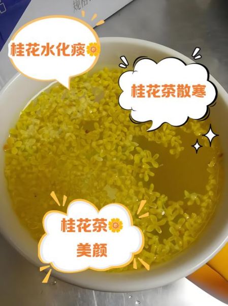 桂花茶的功效与作用及禁忌_桂花泡水喝的注意事项-第3张图片-山城妙识 桂花茶的功效与作用及禁忌_桂花泡水喝的注意事项-第3张图片-山城妙识