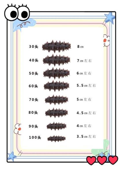 烟台最大海参批发市场在哪_怎么选干海参-第1张图片-山城妙识