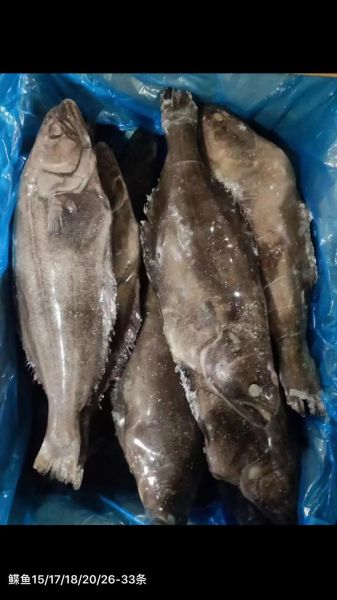 鲽鱼为什么都是冷冻的_冷冻鲽鱼口感会差吗-第2张图片-山城妙识 鲽鱼为什么都是冷冻的_冷冻鲽鱼口感会差吗-第2张图片-山城妙识