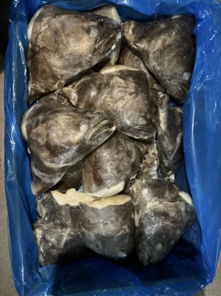 鲽鱼为什么都是冷冻的_冷冻鲽鱼口感会差吗-第3张图片-山城妙识 鲽鱼为什么都是冷冻的_冷冻鲽鱼口感会差吗-第3张图片-山城妙识