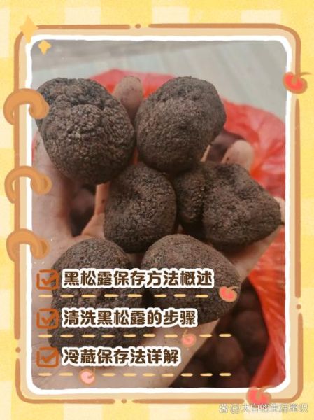 黑松露怎么保存_黑松露多少钱一斤-第2张图片-山城妙识 黑松露怎么保存_黑松露多少钱一斤-第2张图片-山城妙识