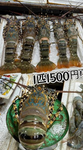 2019年大龙虾多少钱一斤_大龙虾价格走势-第1张图片-山城妙识 2019年大龙虾多少钱一斤_大龙虾价格走势-第1张图片-山城妙识