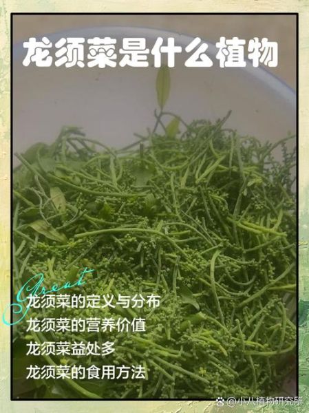 白色龙须菜是人造的吗_白色龙须菜和天然龙须菜区别-第1张图片-山城妙识