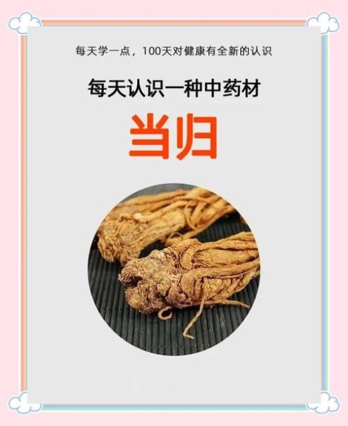 当归图片功效与作用_当归怎么吃补血最快-第3张图片-山城妙识 当归图片功效与作用_当归怎么吃补血最快-第3张图片-山城妙识