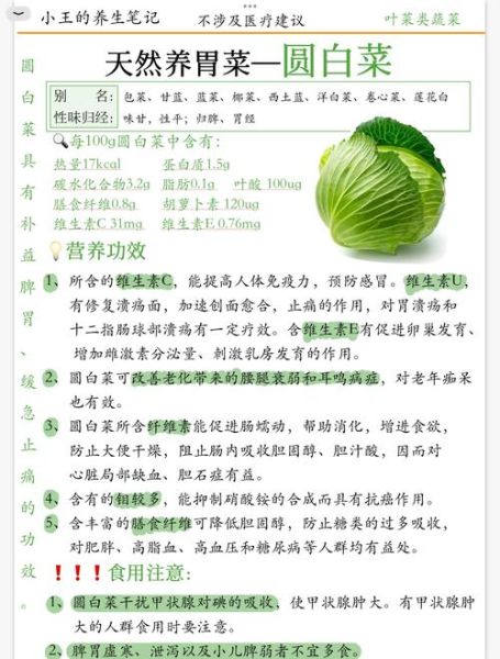 圆白菜的营养价值_圆白菜怎么吃最健康-第1张图片-山城妙识