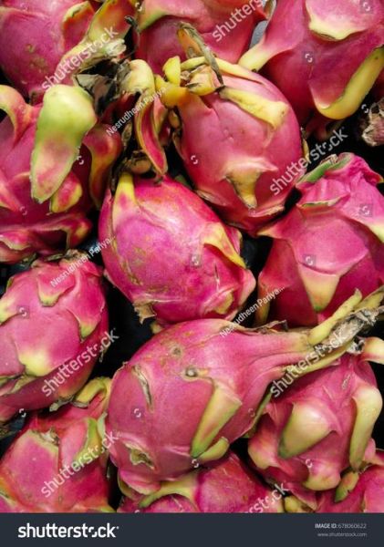 dragon_fruit_benefits_for_skin-第3张图片-山城妙识