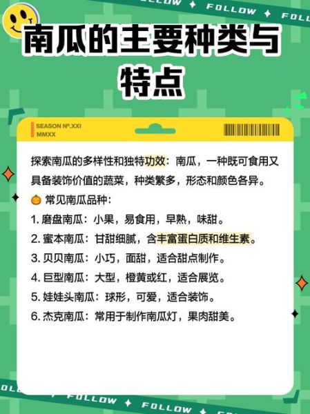 南瓜英语发音怎么读_南瓜英语发音和pumpkin区别-第1张图片-山城妙识