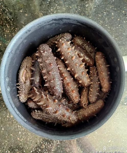 50头干海参价格是多少_50头干海参多少钱一斤-第2张图片-山城妙识