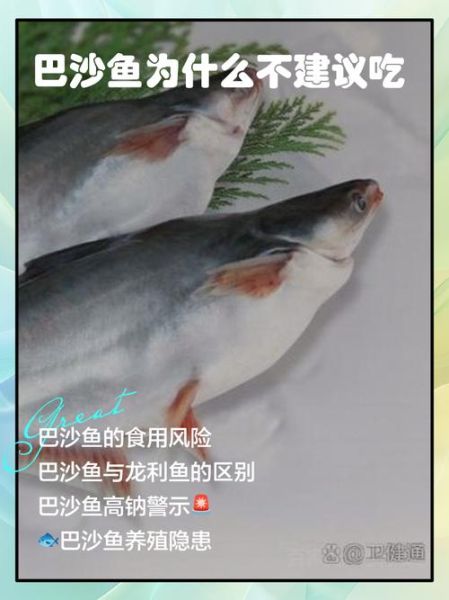 小孩能不能吃巴沙鱼_巴沙鱼对小孩的危害-第2张图片-山城妙识