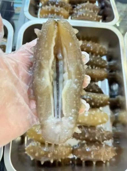 50头干海参价格是多少_50头干海参多少钱一斤-第3张图片-山城妙识