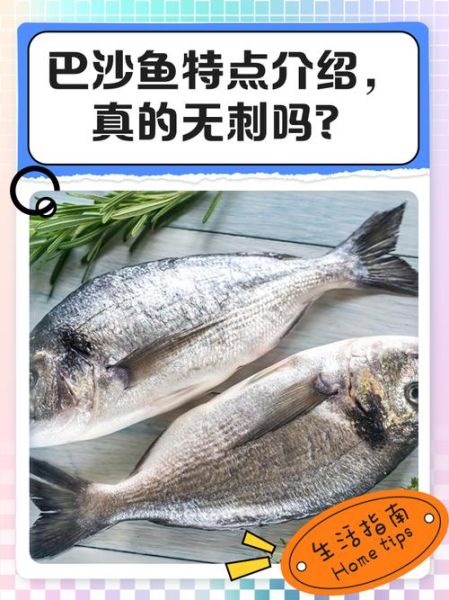 小孩能不能吃巴沙鱼_巴沙鱼对小孩的危害-第3张图片-山城妙识