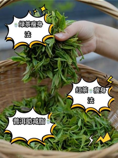 哪种绿茶减肥效果好_绿茶减肥排行榜-第1张图片-山城妙识