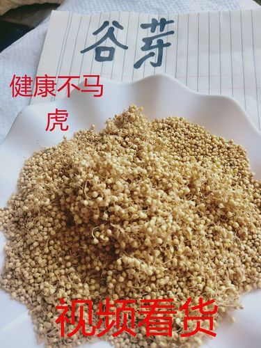 谷芽和稻芽的区别_谷芽与稻芽哪个更好-第1张图片-山城妙识