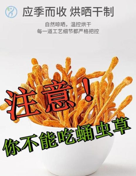 蝉蛹草的功效与作用_蝉蛹草的禁忌有哪些-第2张图片-山城妙识