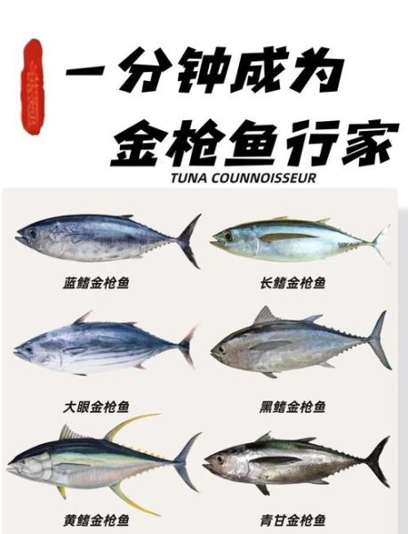 黄鲣鱼是什么鱼_黄鲣鱼和金枪鱼的区别-第1张图片-山城妙识 黄鲣鱼是什么鱼_黄鲣鱼和金枪鱼的区别-第1张图片-山城妙识