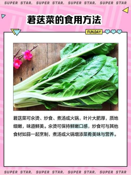 莙达菜怎么种_莙达菜营养价值-第1张图片-山城妙识 莙达菜怎么种_莙达菜营养价值-第1张图片-山城妙识