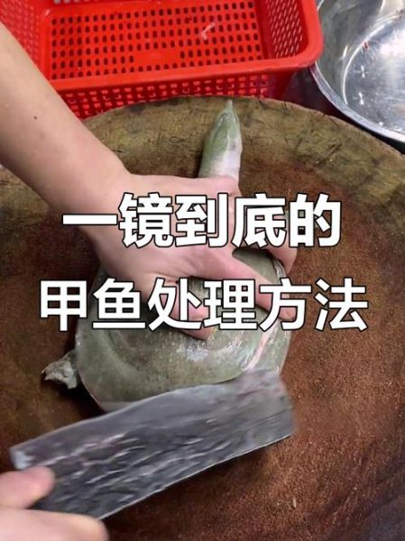 杀甲鱼的正确方法图解_甲鱼怎么处理干净-第2张图片-山城妙识 杀甲鱼的正确方法图解_甲鱼怎么处理干净-第2张图片-山城妙识