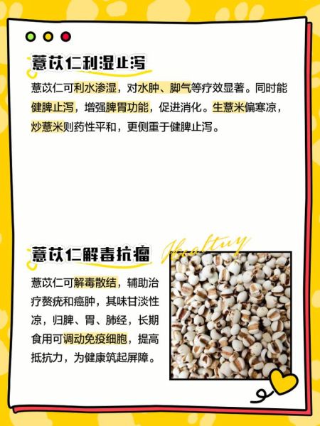 薏仁的功效与作用禁忌症_什么人不能吃薏仁-第1张图片-山城妙识 薏仁的功效与作用禁忌症_什么人不能吃薏仁-第1张图片-山城妙识