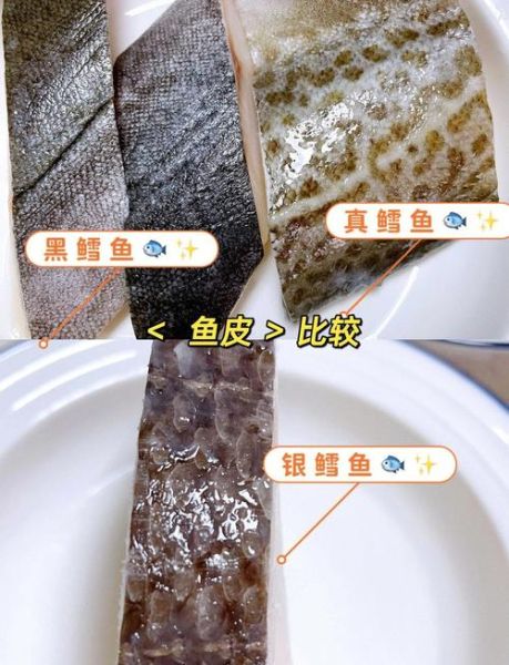 银鳕鱼宝宝辅食怎么做_银鳕鱼真假辨别技巧-第1张图片-山城妙识