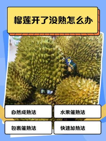 榴莲开了合上去还会熟吗_榴莲打开后没熟怎么办-第1张图片-山城妙识