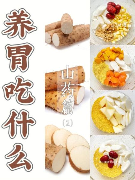 吃什么养胃_胃不好怎么调理-第2张图片-山城妙识 吃什么养胃_胃不好怎么调理-第2张图片-山城妙识