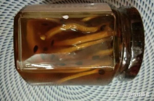 蜂蜜柠檬变质了还能喝吗_蜂蜜柠檬发霉图片识别-第1张图片-山城妙识