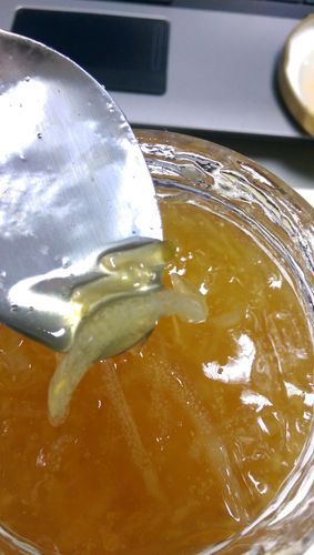 蜂蜜柠檬变质了还能喝吗_蜂蜜柠檬发霉图片识别-第2张图片-山城妙识