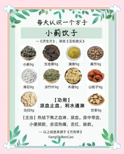 小蓟饮子组成_功效与禁忌有哪些-第1张图片-山城妙识 小蓟饮子组成_功效与禁忌有哪些-第1张图片-山城妙识